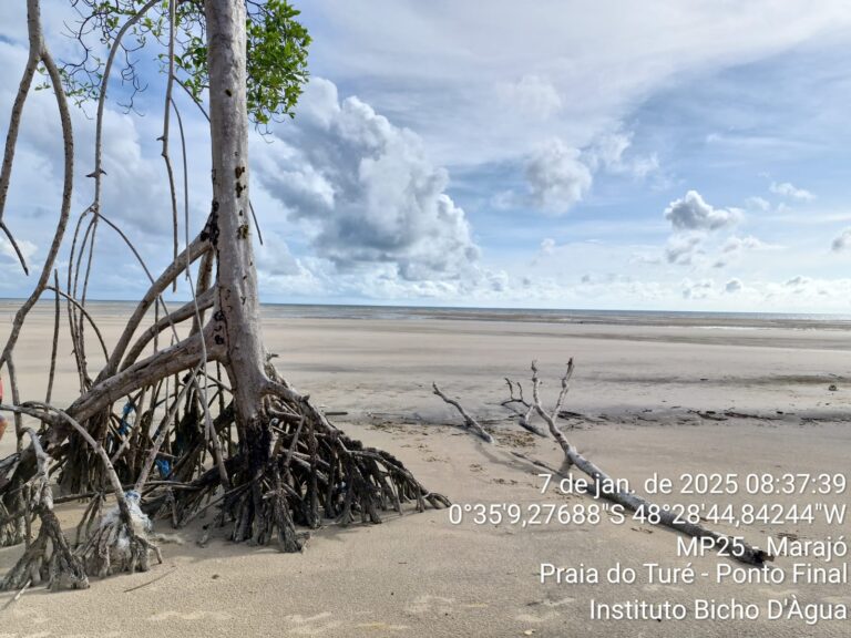 Home - Margem Equatorial Brasil